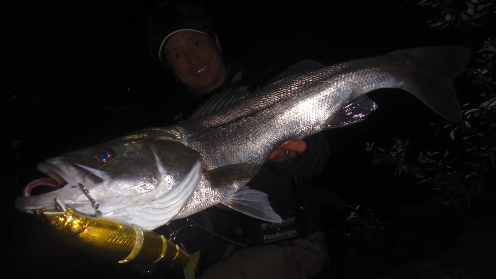 Kuzuryu River-Masamitsu Ohira – LITTLE JACK