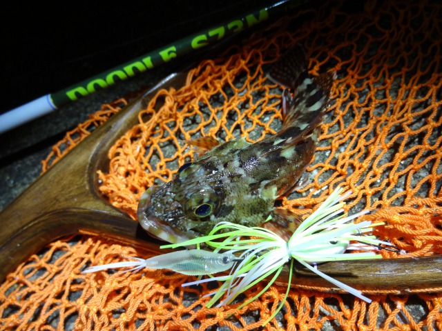 Rock Fish-Masato Fukuda – LITTLE JACK