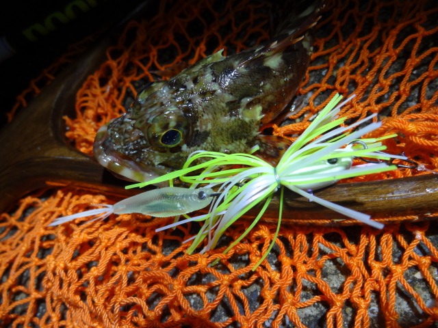 Rock Fish-Masato Fukuda – LITTLE JACK